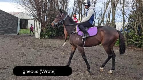 Racing Team Update